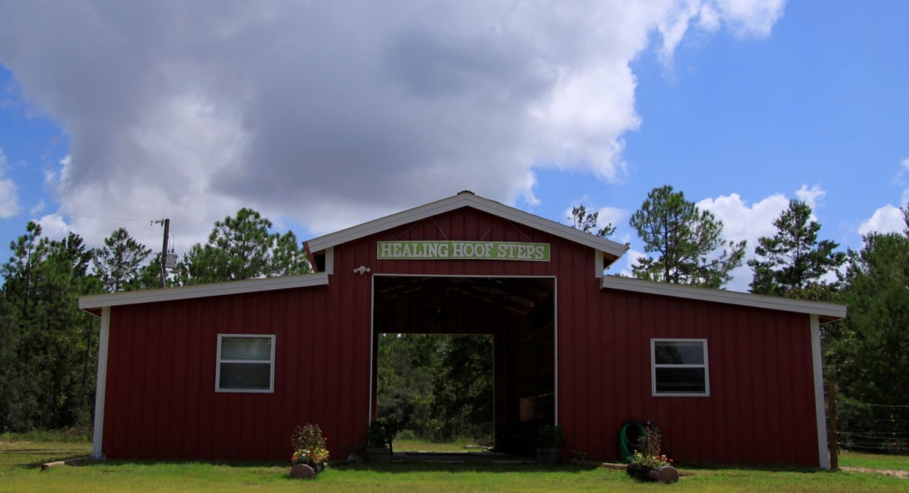 Healing Hoof Steps Equine Therapy Brings Relief with Horses and Alpha ...